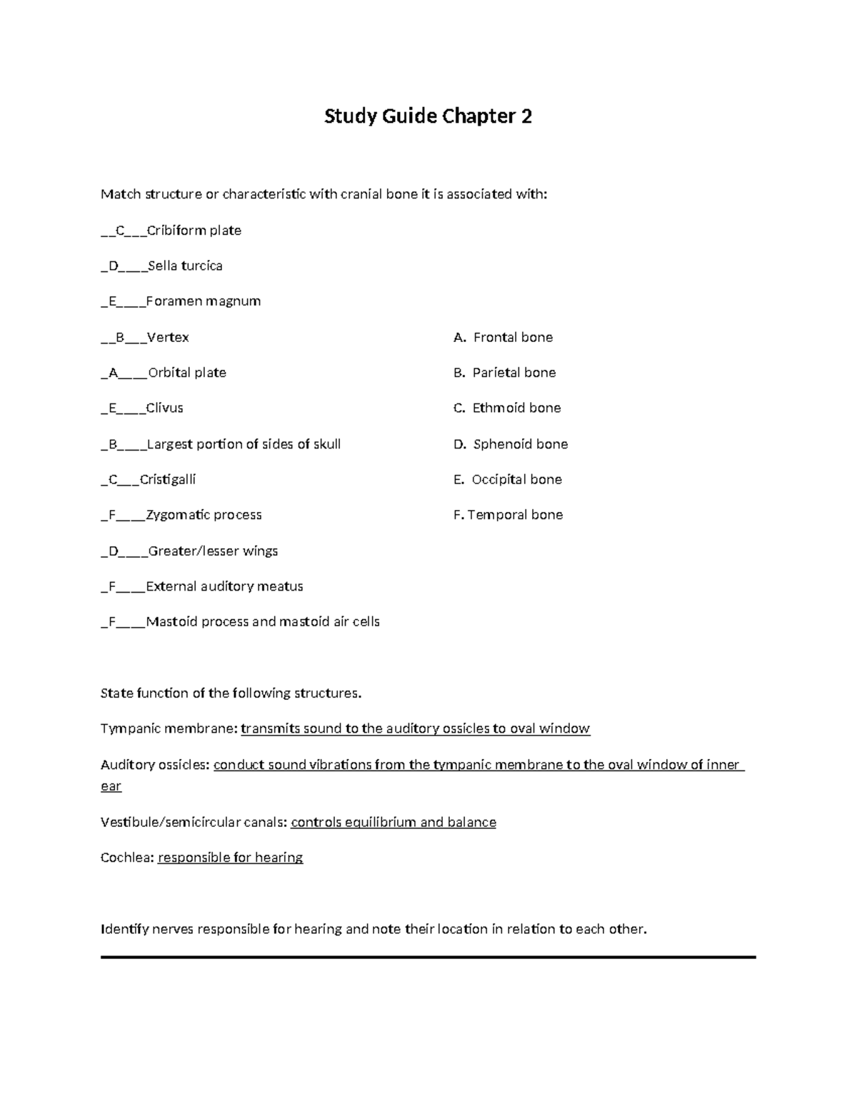 Study Guide: Anatomy of Cranial & Facial Bones (Course Code) - Studocu