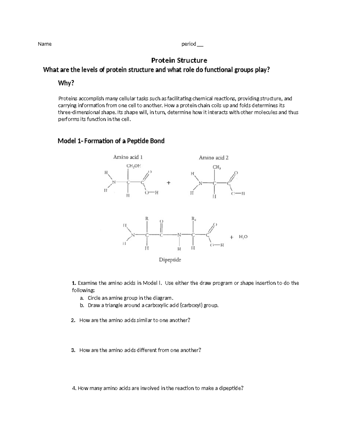 Protein Structure OLA: Levels, Bonds, and Functions Explained - Studocu