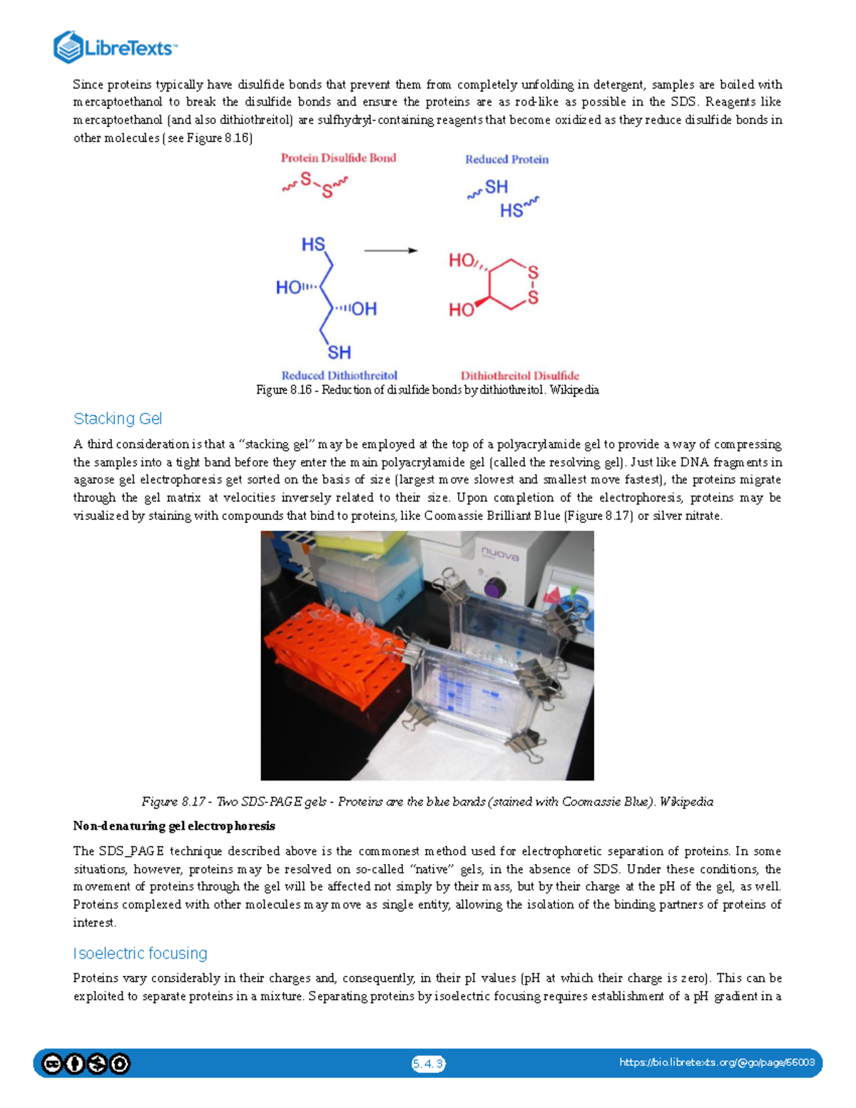 Principles of Biochemistry: Key Techniques and Methods in Synthesis ...