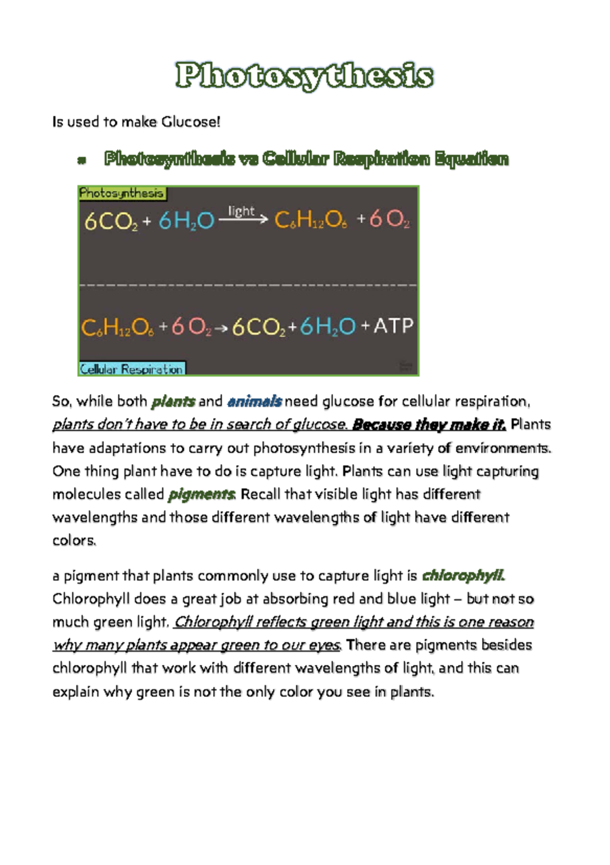 Photosynthesis Notes: Key Processes and Pigments Explained - Studocu