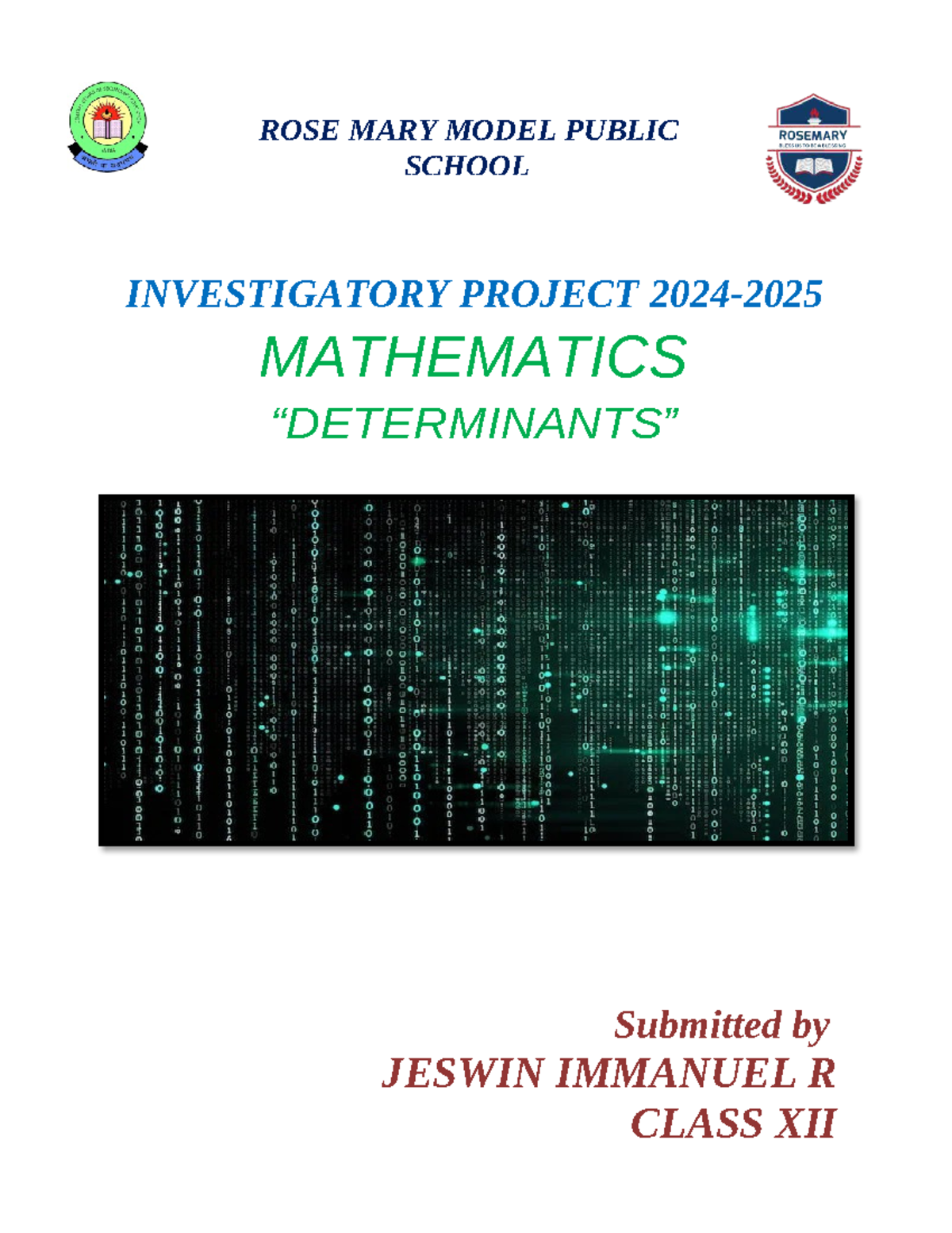 Mathematics Investigatory Project (Class XII) - Determinants Analysis ...