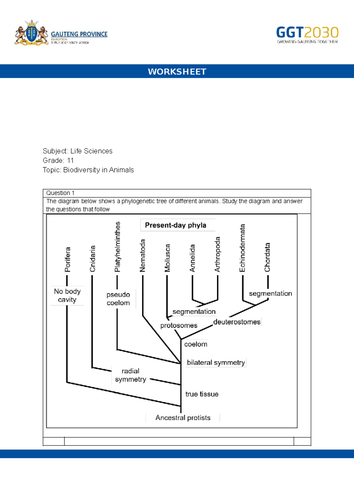 GR 11 Worksheet: Biodiversity in Animals - Phylogenetic Tree Questions ...