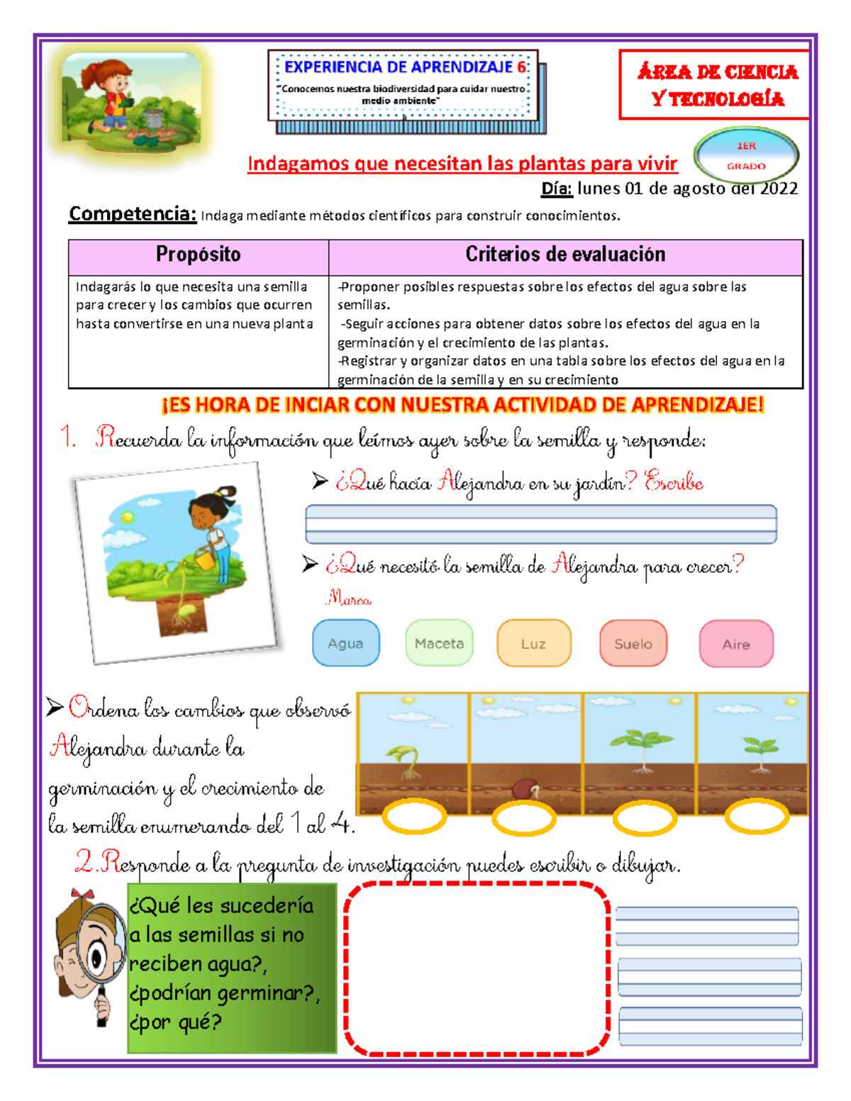 Indagamos sobre las Necesidades de las Plantas - CYT-09 Ago 2022-1ER ...