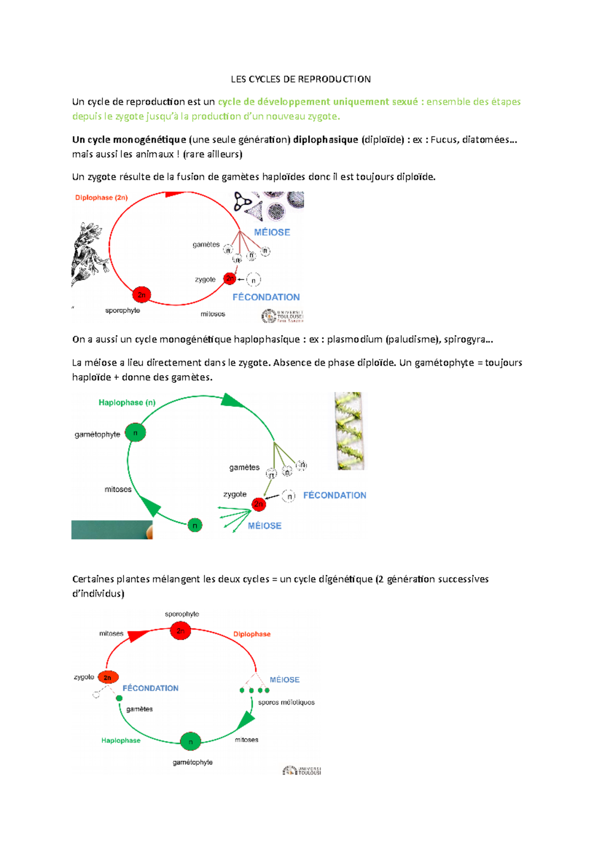 CM5 les cylcles de reproduction - LES CYCLES DE REPRODUCTION Un cycle ...