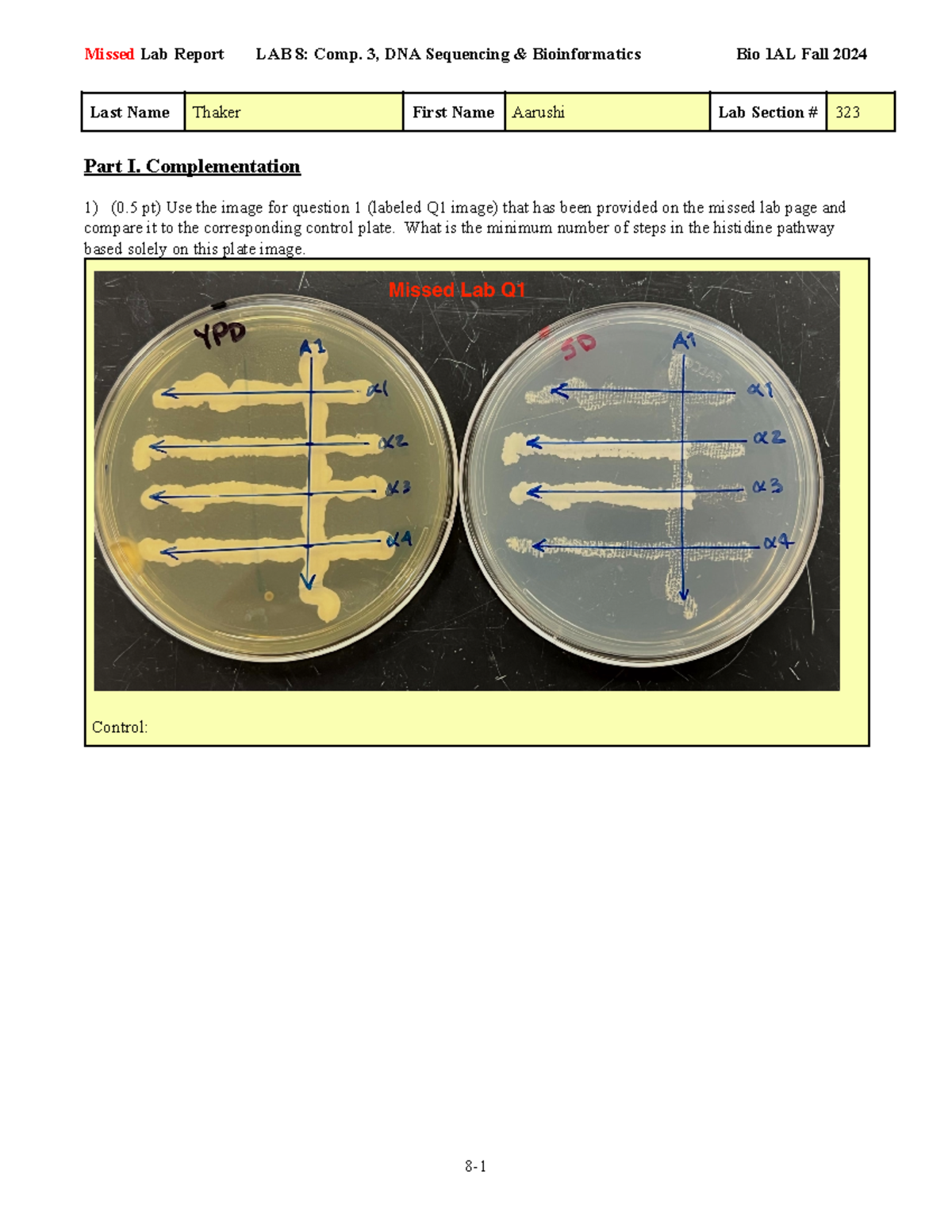 Missed Lab 8 Report: Complementation, DNA Seq & Bioinformatics - Fa24 - Studocu