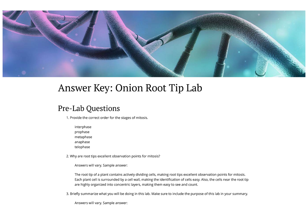 Onion Root Tip Lab Answer Key: Mitosis Stages & Observations - Studocu