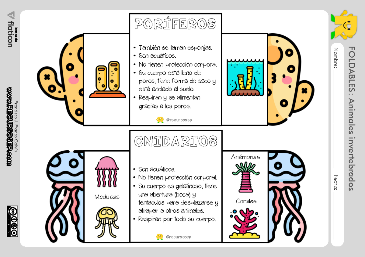 Material Plegable: Animales Invertebrados - FOLDABLES - Studocu