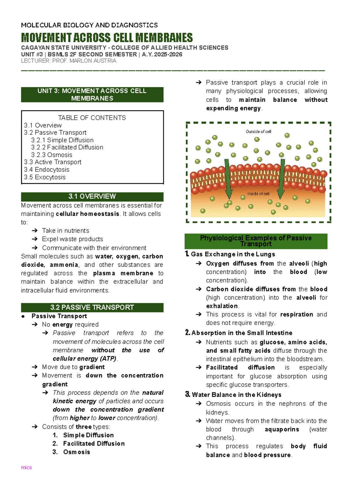 Mol Bio 3: Movement Across Cell Membranes - Lecture Notes - Studocu