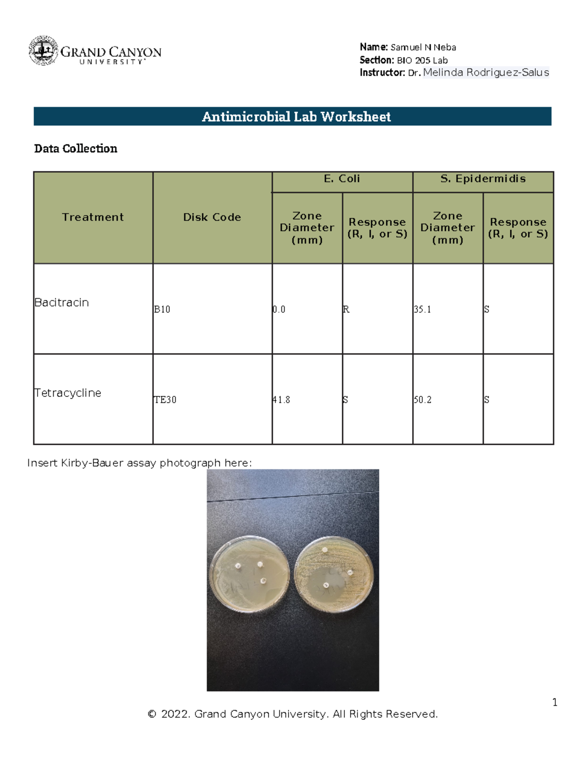 BIO 205L RS Lab11Antimicrobial Lab Worksheet Online Tradonline - Name ...