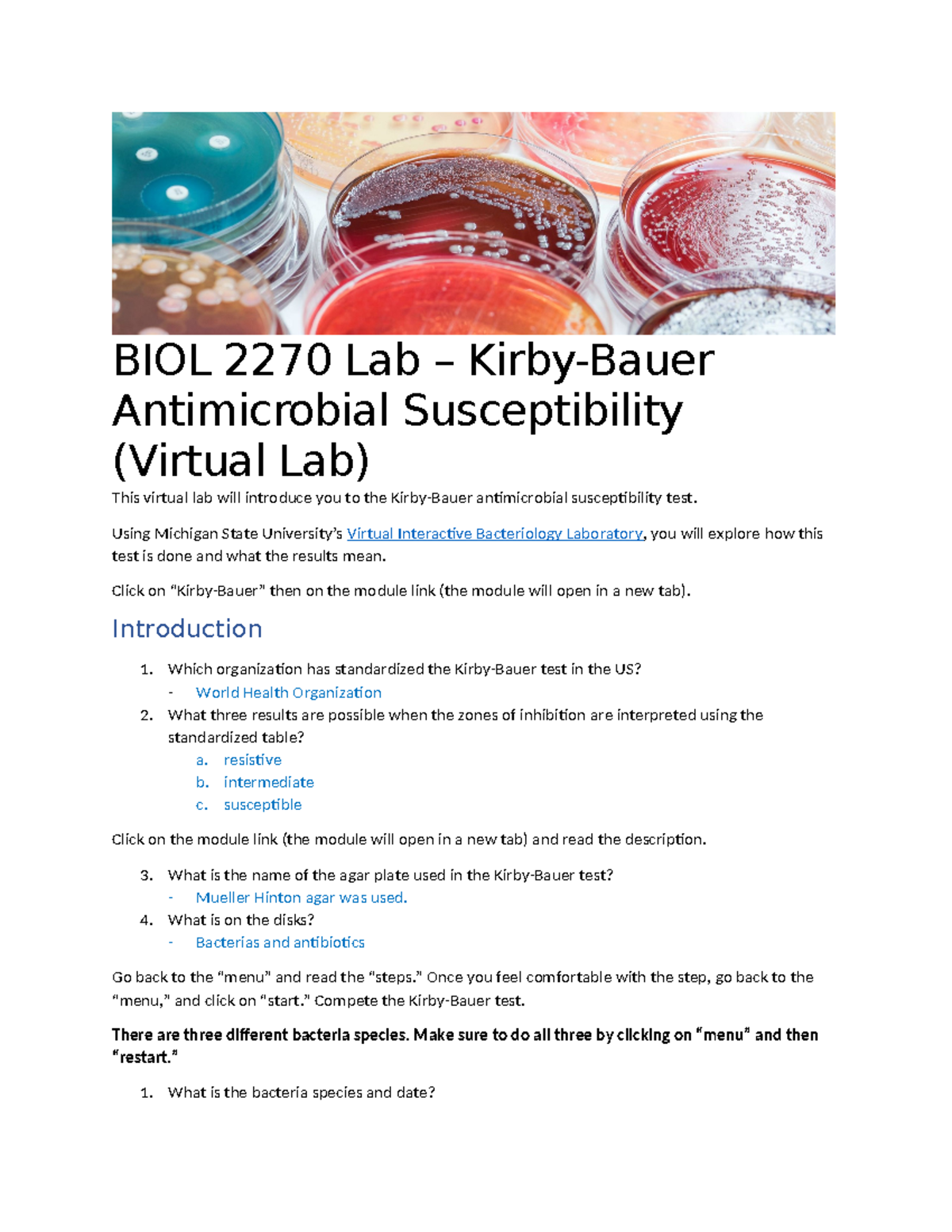 BIOL 2270 Final Lab Report: Kirby-Bauer Antimicrobial Test - Studocu