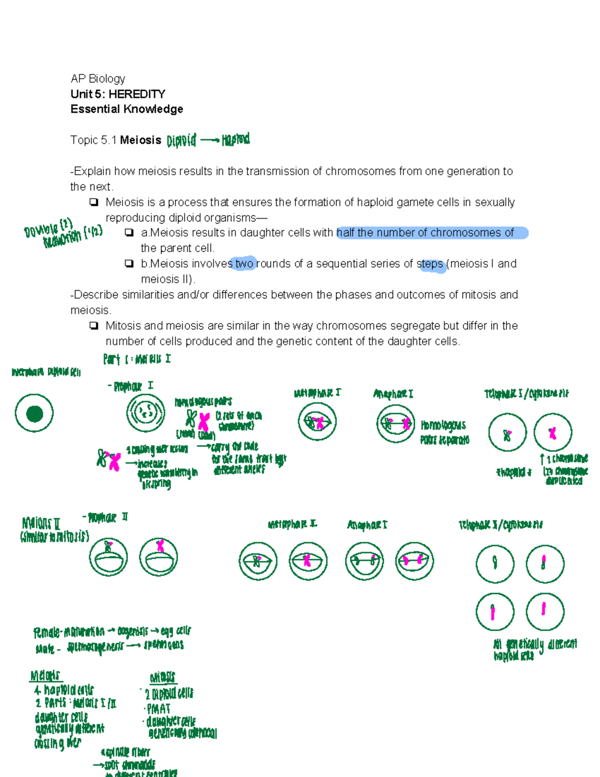 Review AP Unit 5 Essential Knowledge - $3 %LRORJ\ 8QLW +(5(',7