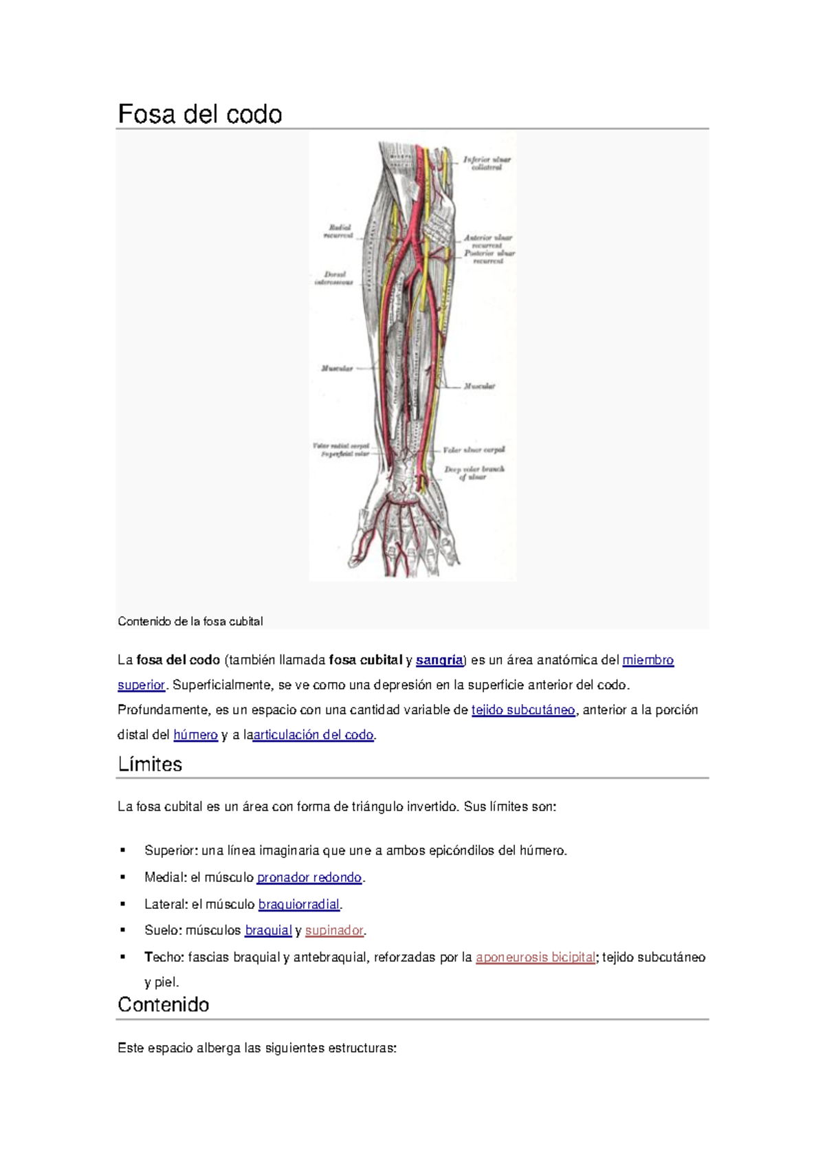 Anatomía de la Fosa Cubital - Document 110143678 - Studocu