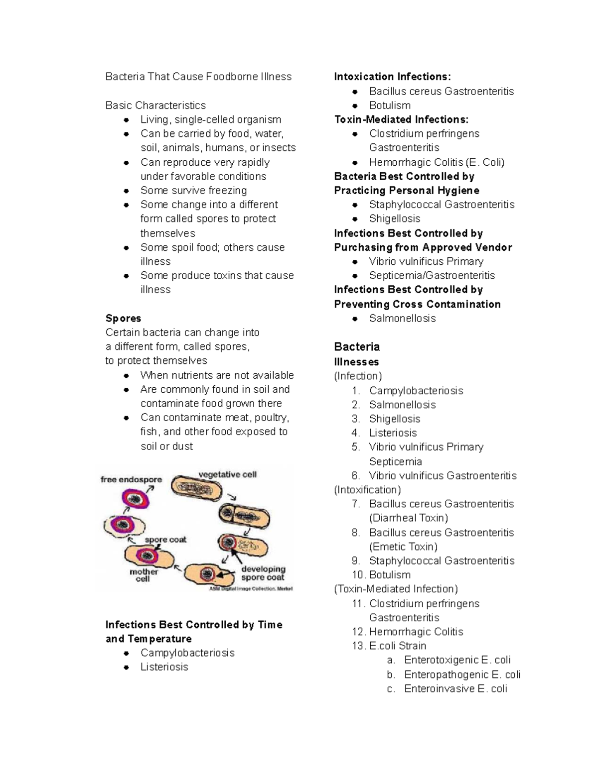 MICP Finals Reviewer: Bacteria Causing Foodborne Illnesses - Studocu