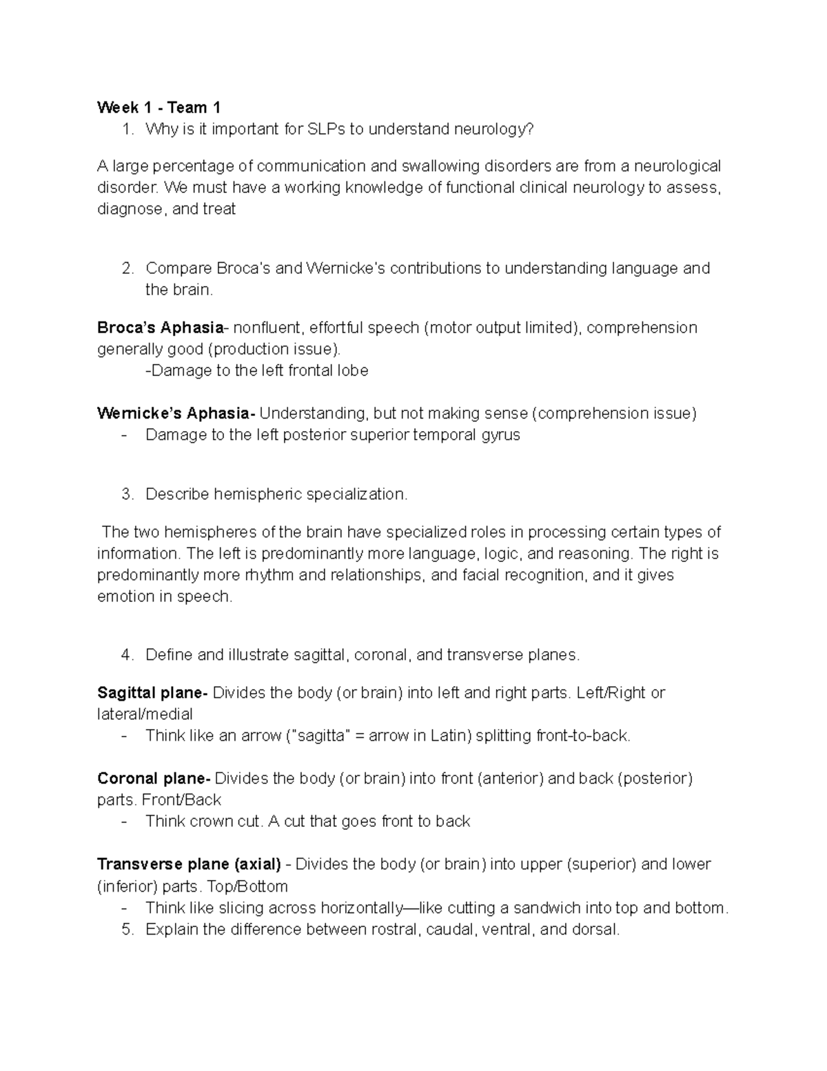 Neuro Exam I: Key Concepts & Recall Questions for SLPs - Studocu