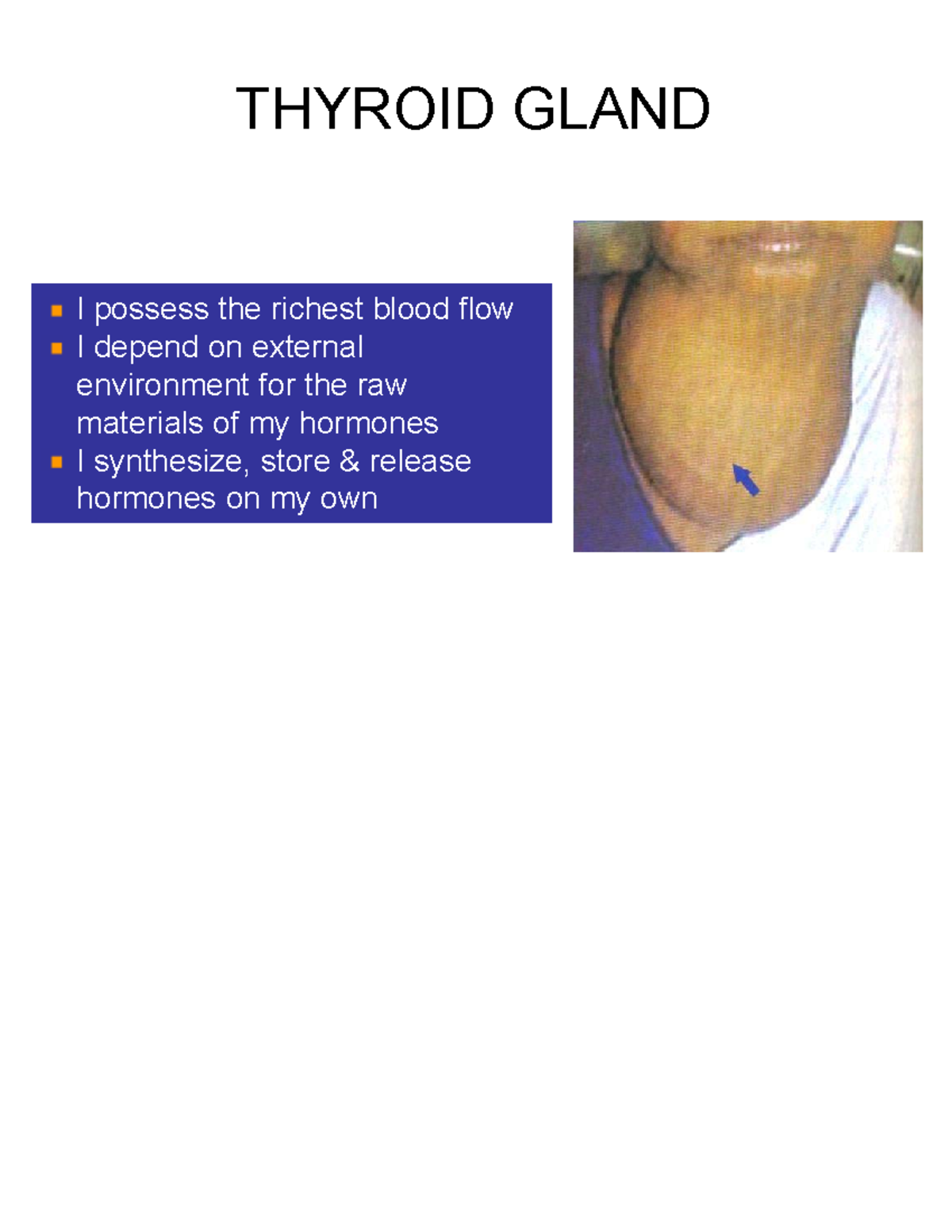 Thyroid-Gland-Lecture-notes - THYROID GLAND I possess the richest blood ...