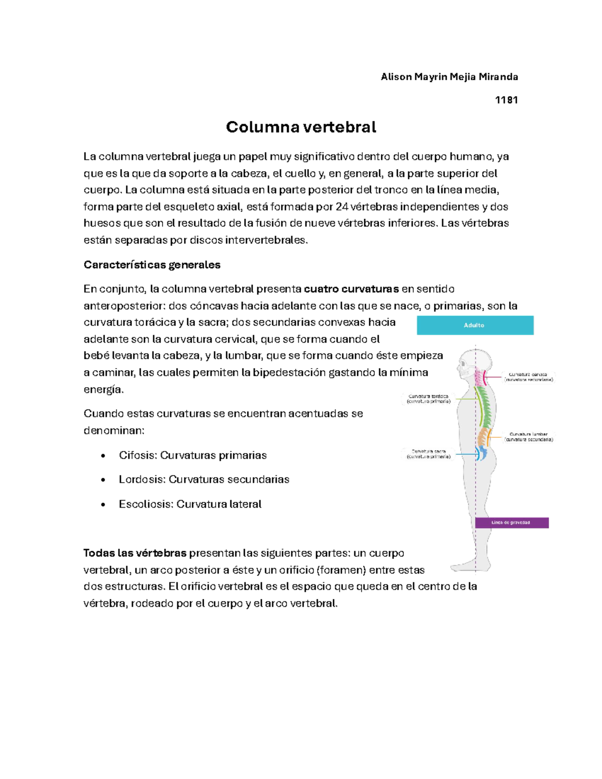Notas de Clase: Columna Vertebral - Biología 1181 - Studocu