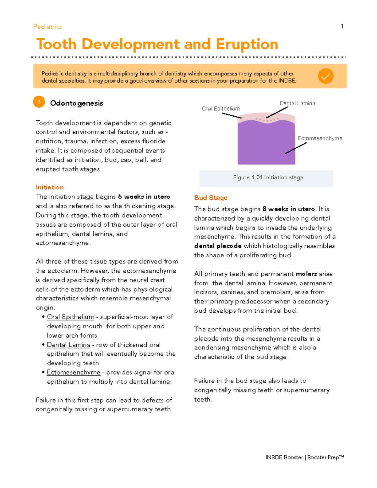 INBDE Booster: Comprehensive Pediatric Dentistry Notes - Studocu