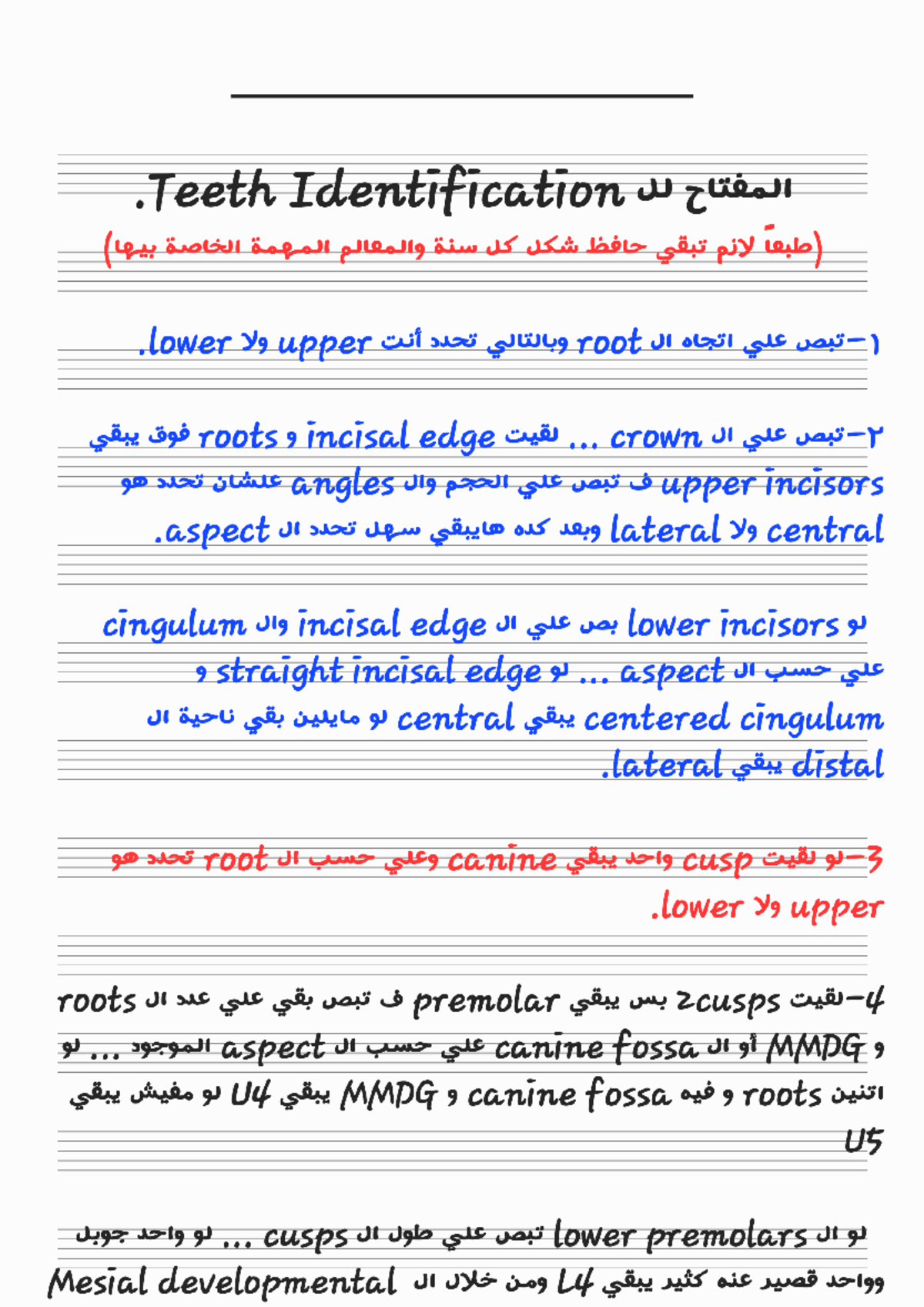 Teeth Identification Guide for SWU9: Understanding Dental Structures ...