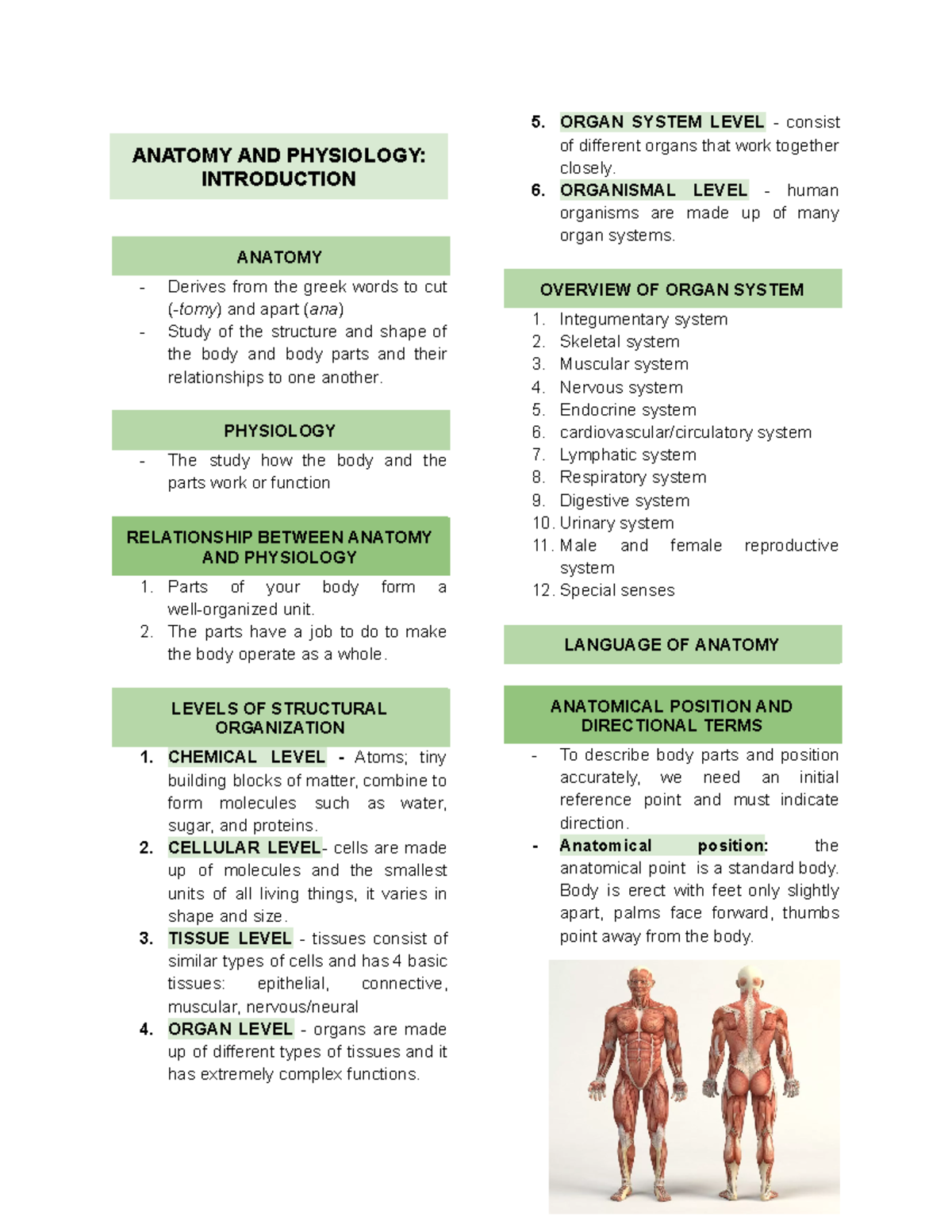 ANATOMY 101: Introduction to Structure & Function of the Body - Studocu