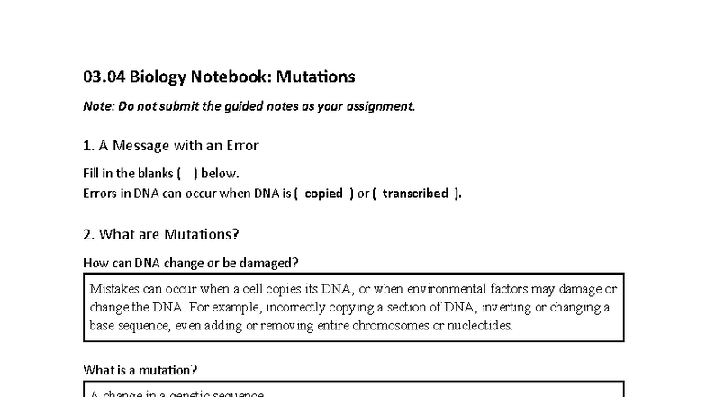 03.04 Biology Notebook: Notes on Mutations and Their Effects - Studocu