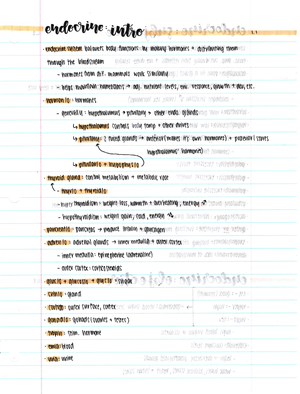 Summit 2 Workbook Answer Key - Summit 2, Third Edition Workbook Answer ...