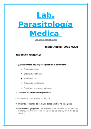 Anatomía y Fisiología de la Vulva Resumen bien explicado y detallado ...