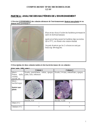 Anatomie de la paroi bactérienne 2020 - Structures bactériennes ...