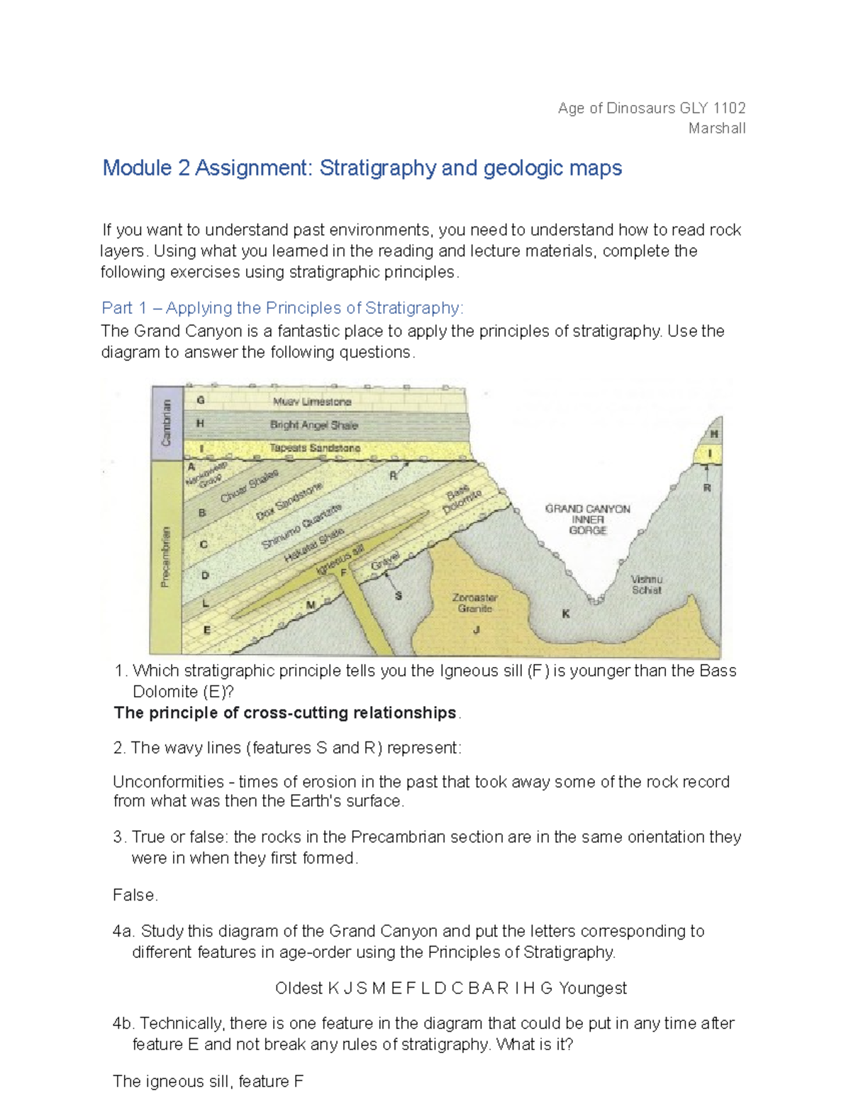 Module 2 Assignment: Stratigraphy & Geologic Maps (GLY 1102) - Studocu