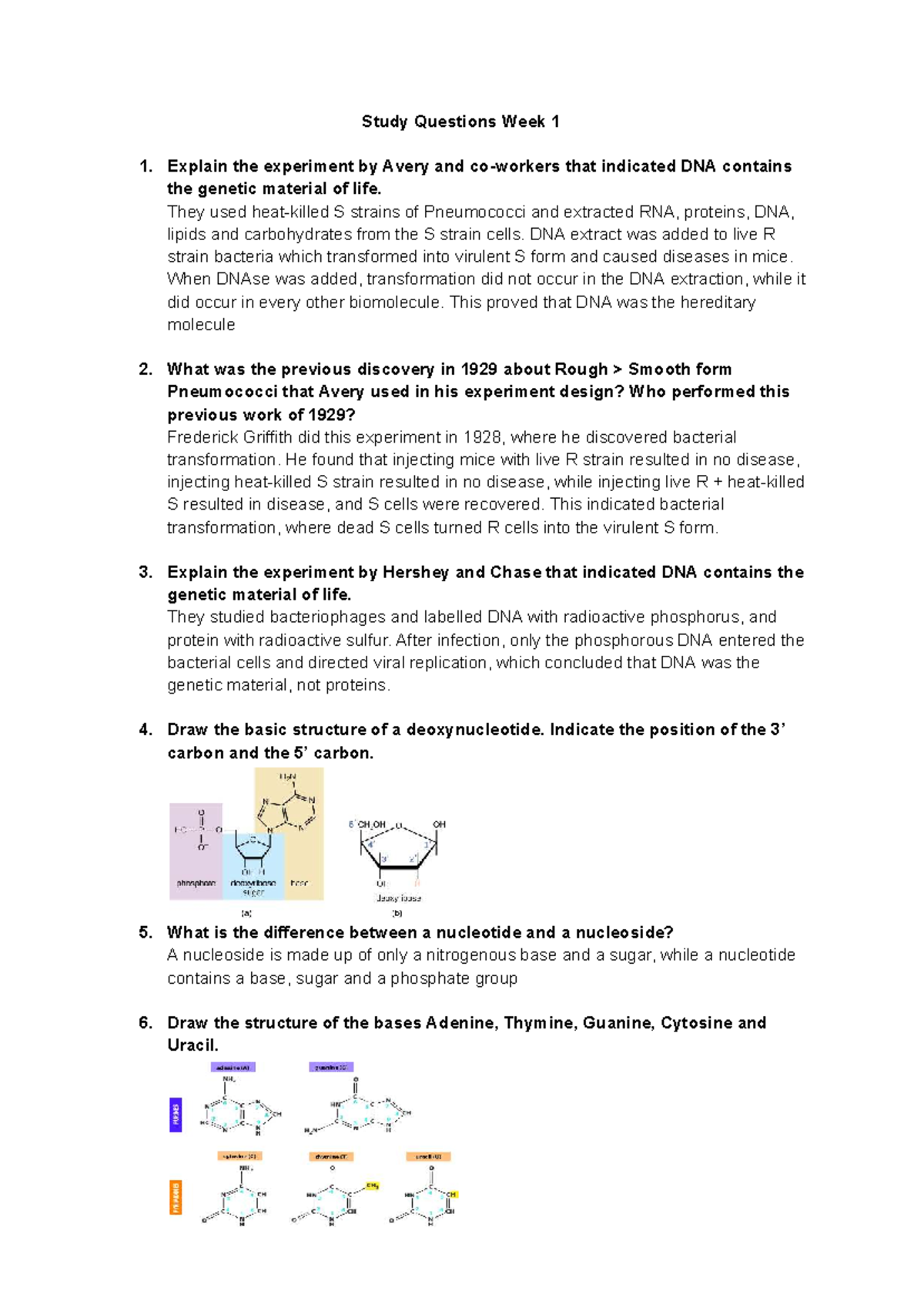 Lecture Questions: DNA as Genetic Material and Replication Mechanisms ...