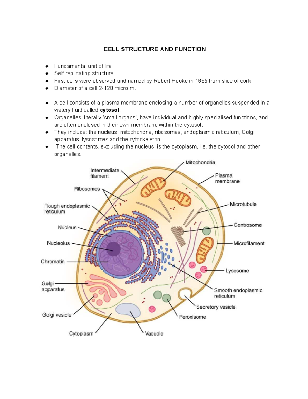 CELL STRUCTURE AND FUNCTION: General Physiology Unit I Notes - Studocu