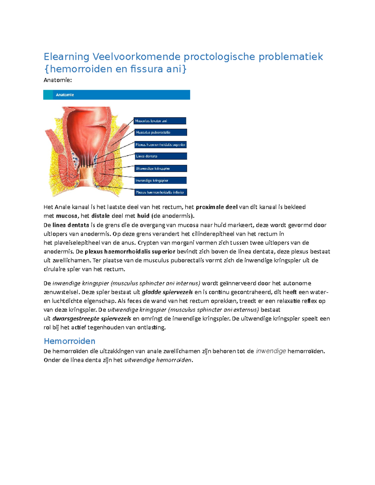 E-learning Overzicht van Hemorroïden en Anale Fissuren in Proctologie ...