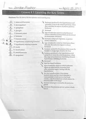 Body regions handout - Activity 1: Locating Body regions Label the ...