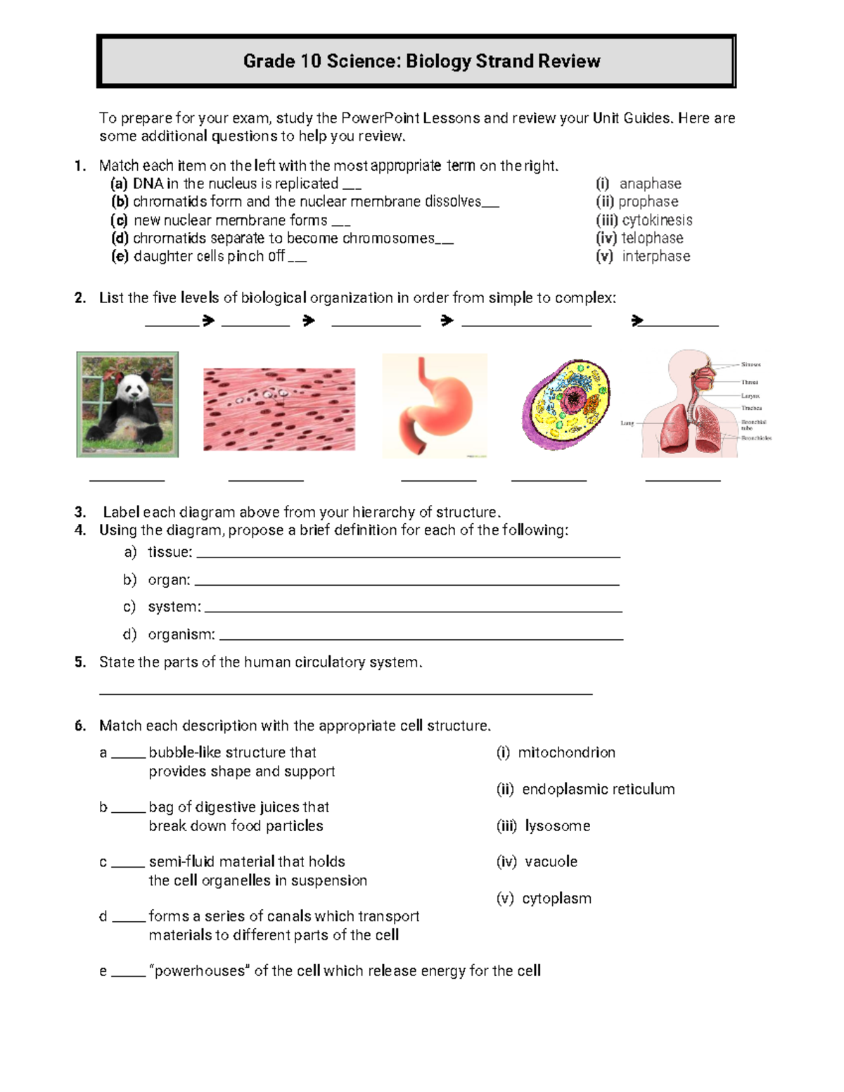 Grade 10 Science: Biology Exam Review Guide for Cell Structure ...