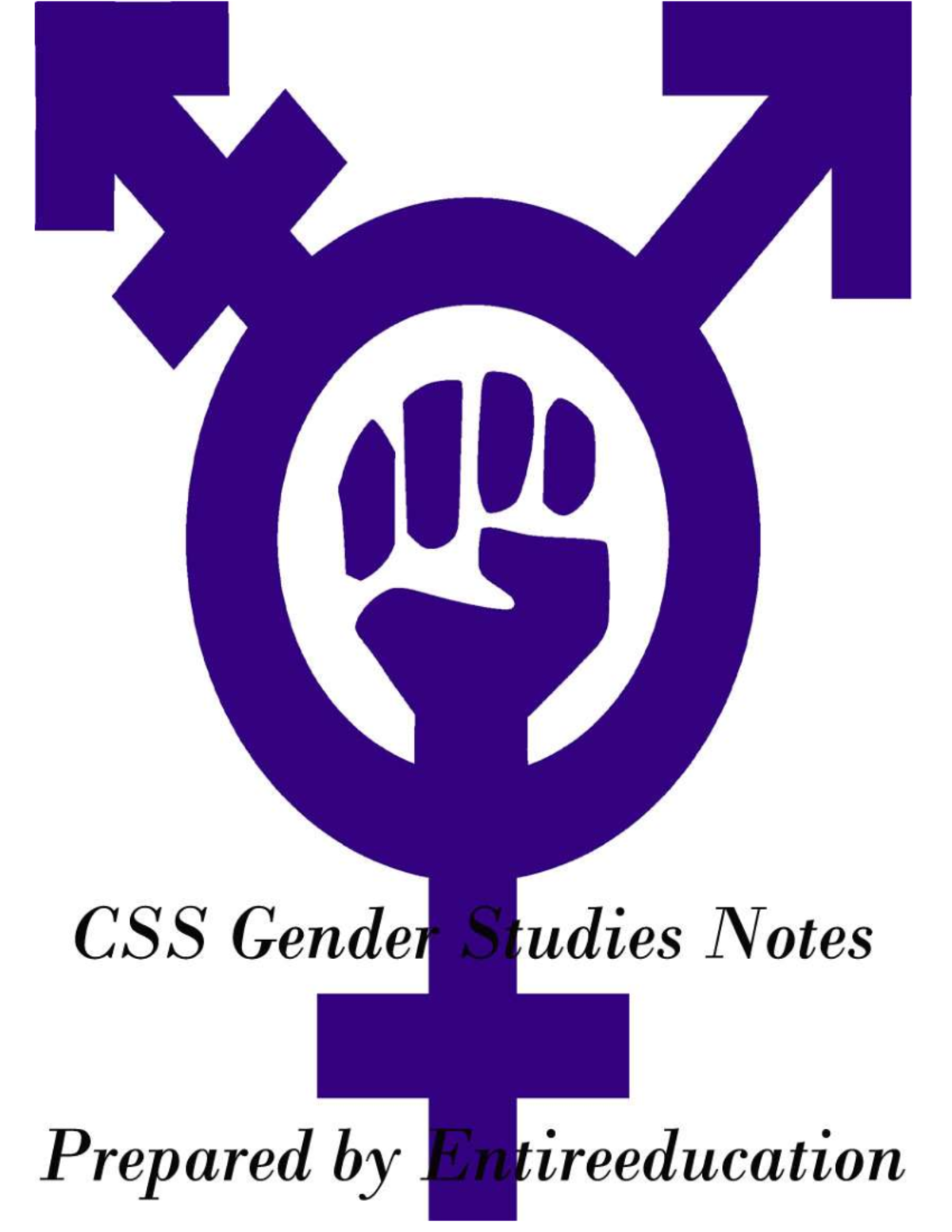 CSS Gender Studies - Lecture Notes 5: Social Constructs and Theories ...