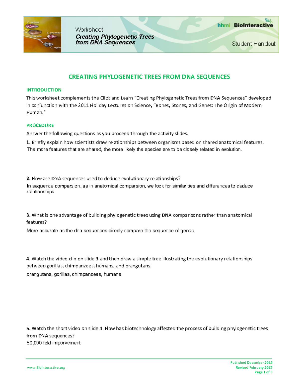 Phylogenetic Trees from DNA Sequences - Click & Learn Worksheet - Studocu