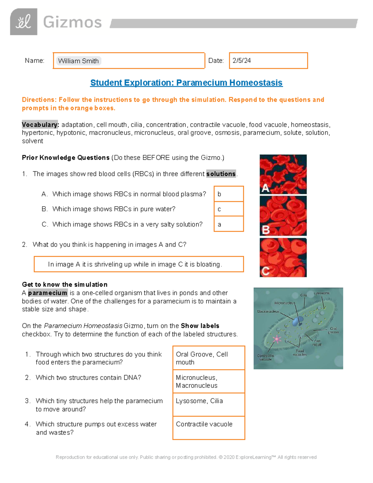 Biology 101: Paramecium Homeostasis Student Exploration Guide - Studocu