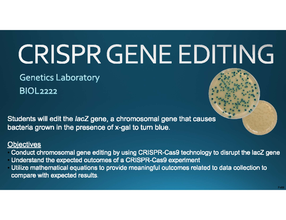 CRISPR-Cas9 Gene Editing Mechanisms and Applications (Pettit) - Studocu