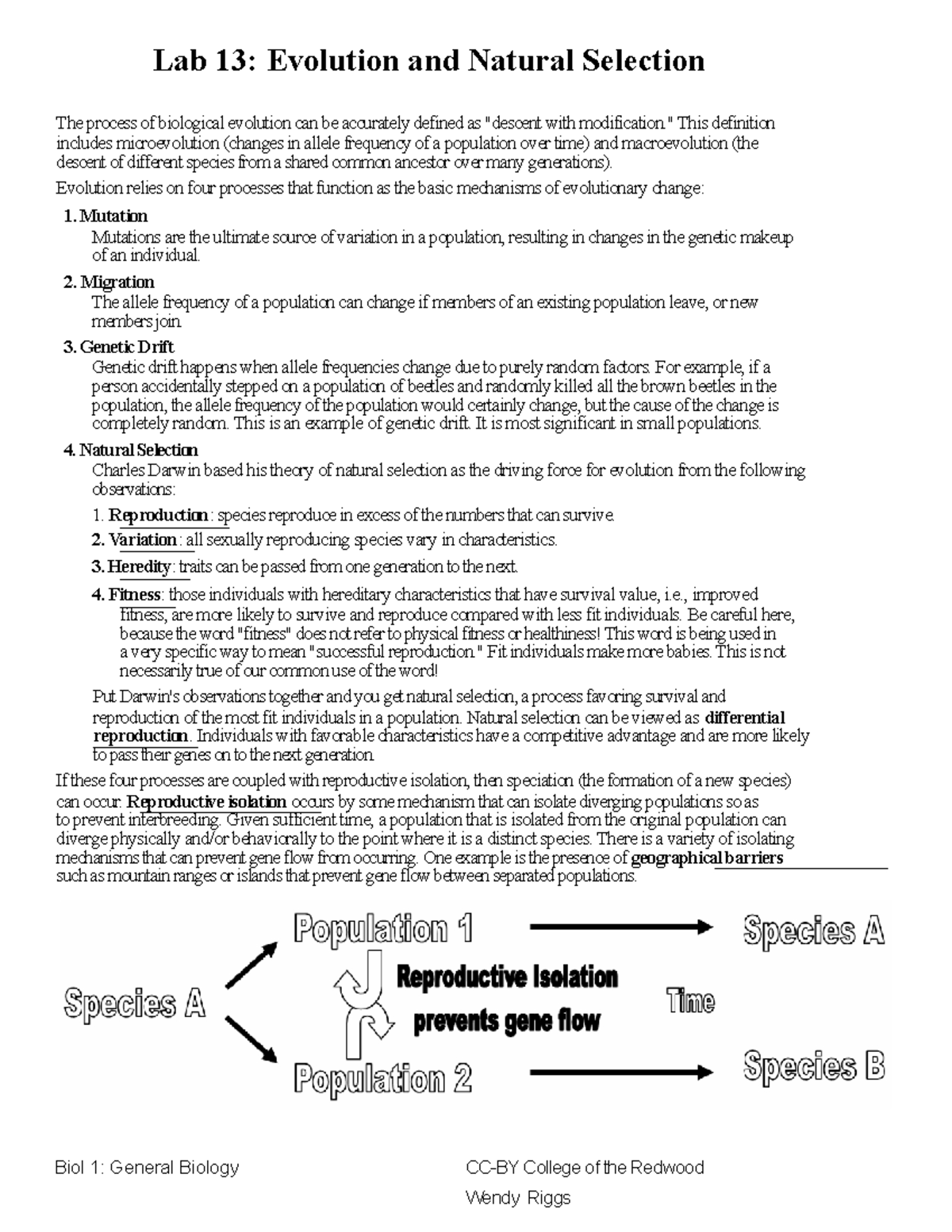 Lab 13: Natural Selection Exercises in Evolution (Biol 1) - Studocu