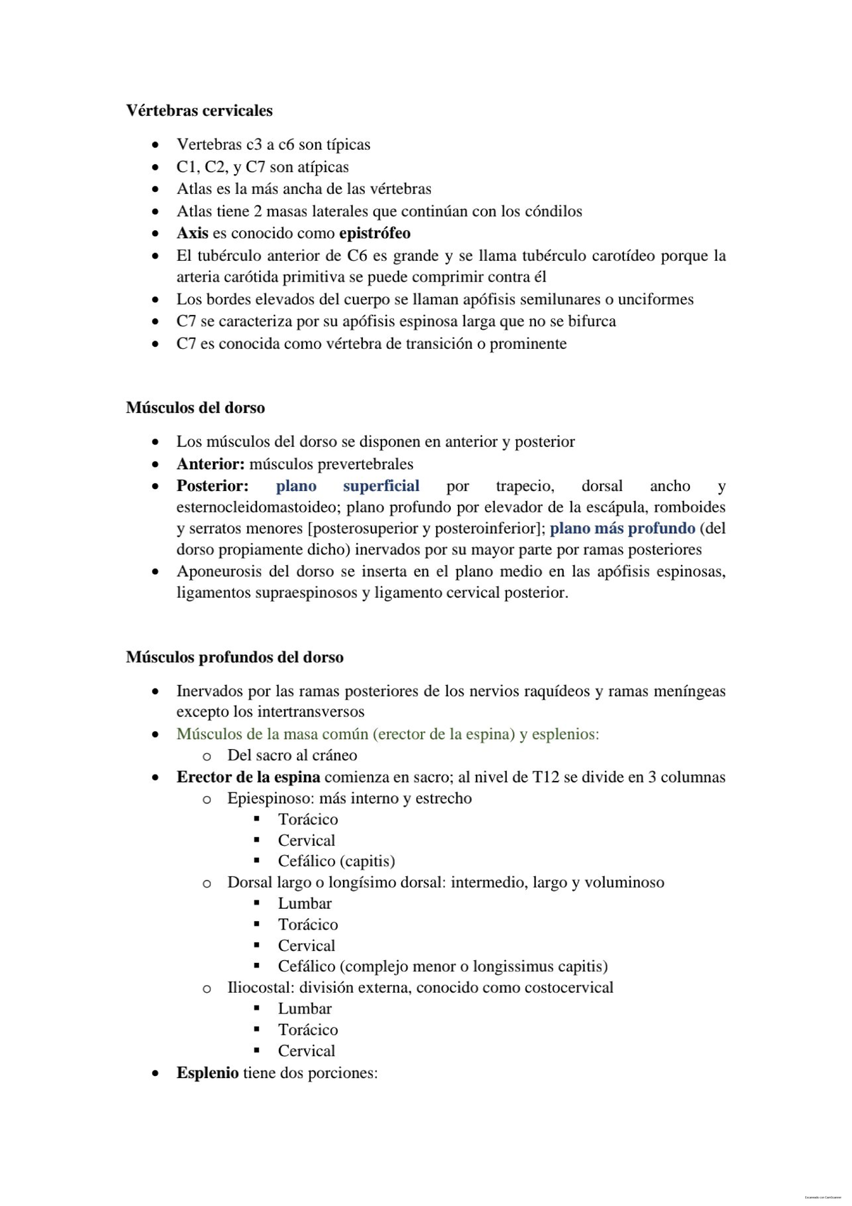 Resumen de macro Cuello - Anatomía Macroscópica - Studocu