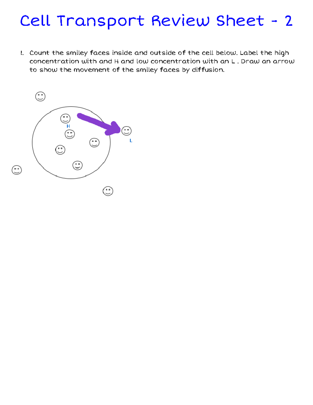 Transport Practice 2 - Cell Transport Review Sheet - Studocu