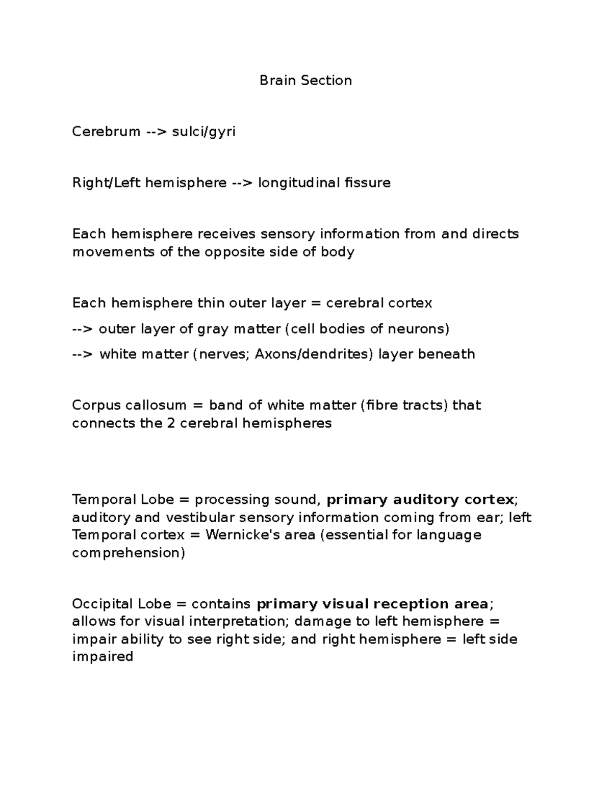 Brain Section - Brain Section Cerebrum -> sulci/gyri Right/Left ...