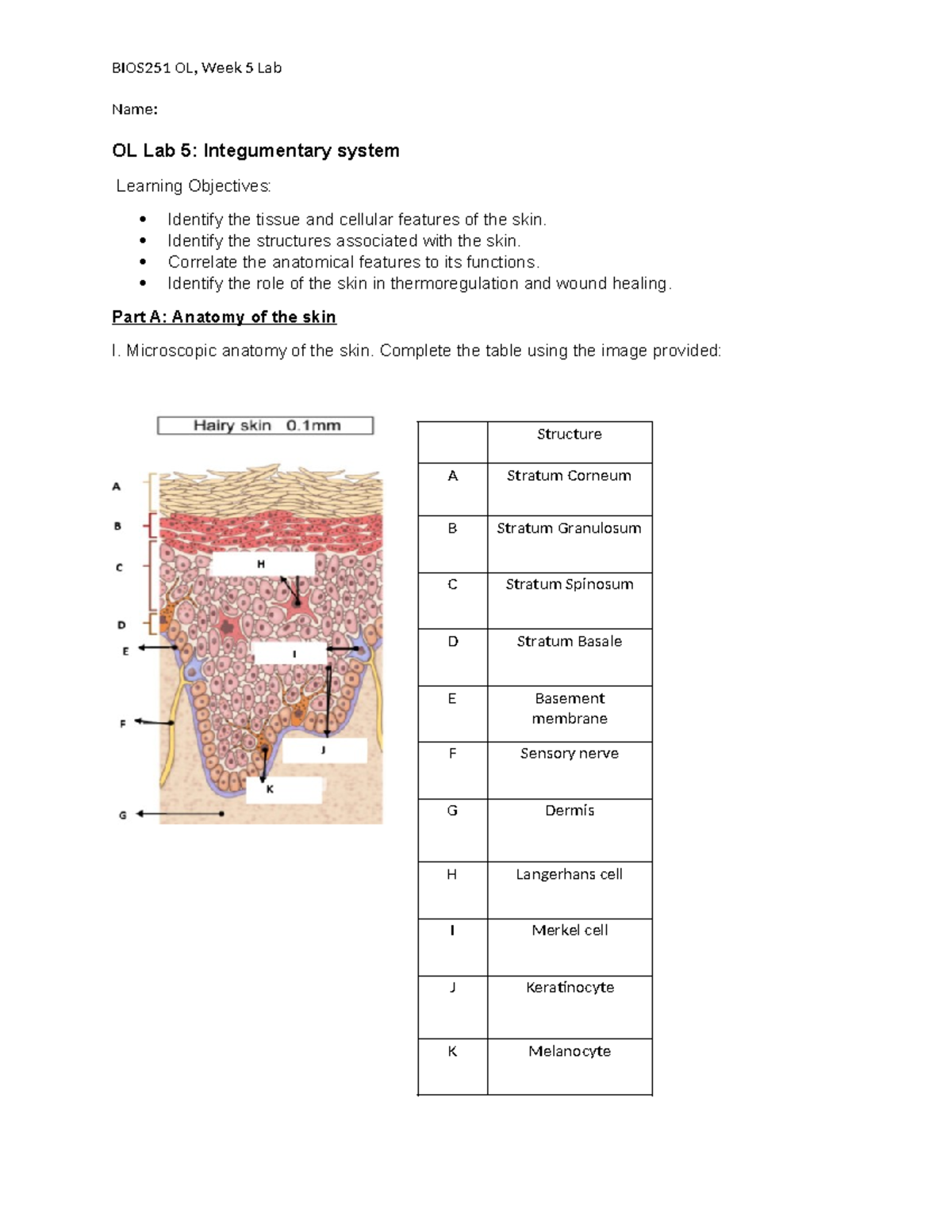 OL 5 Lab: Integumentary System and Thermoregulation Coursework - Studocu