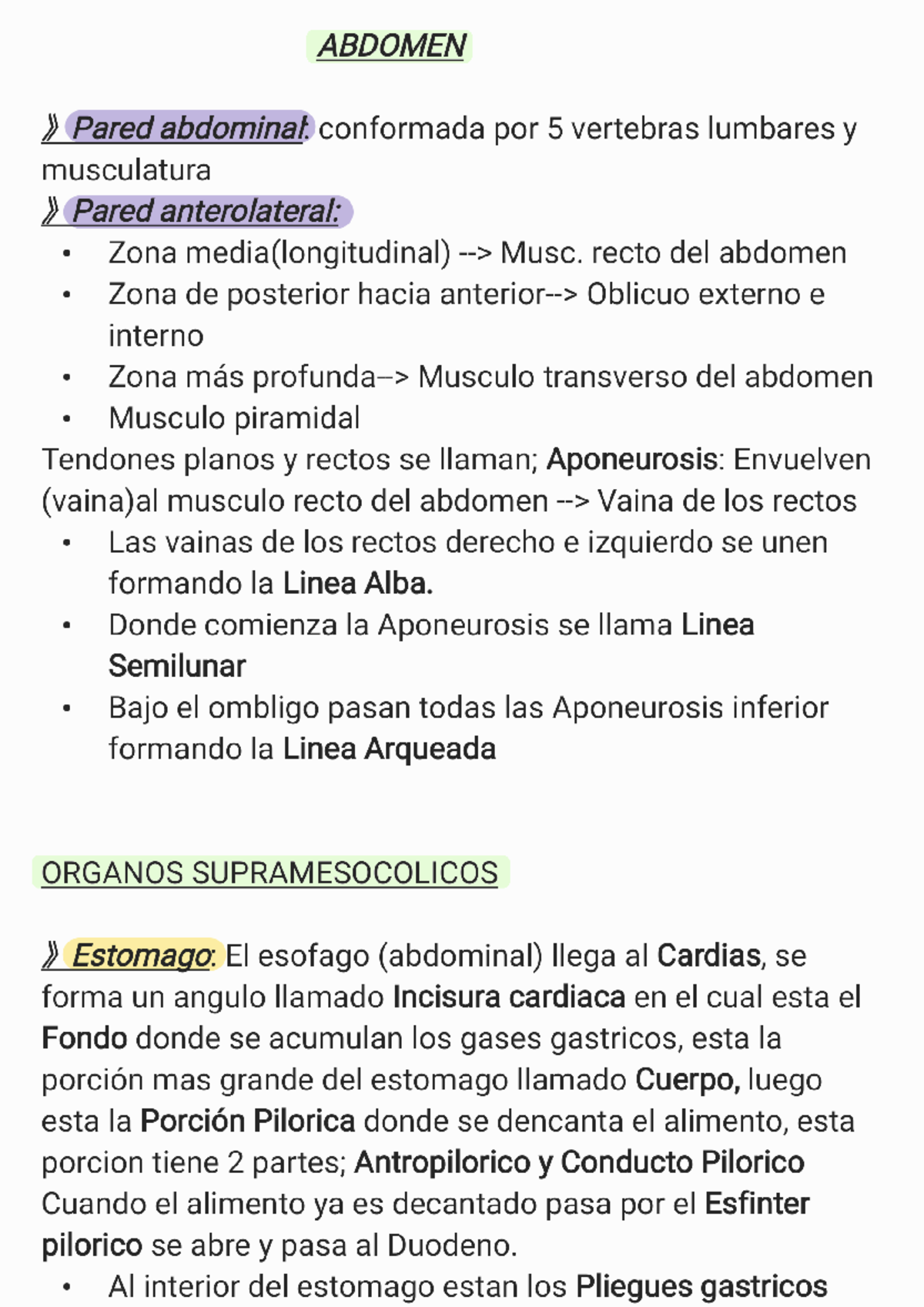 Resumen de Anatomía del Abdomen y Órganos (Curso: ANAT 101) - Studocu