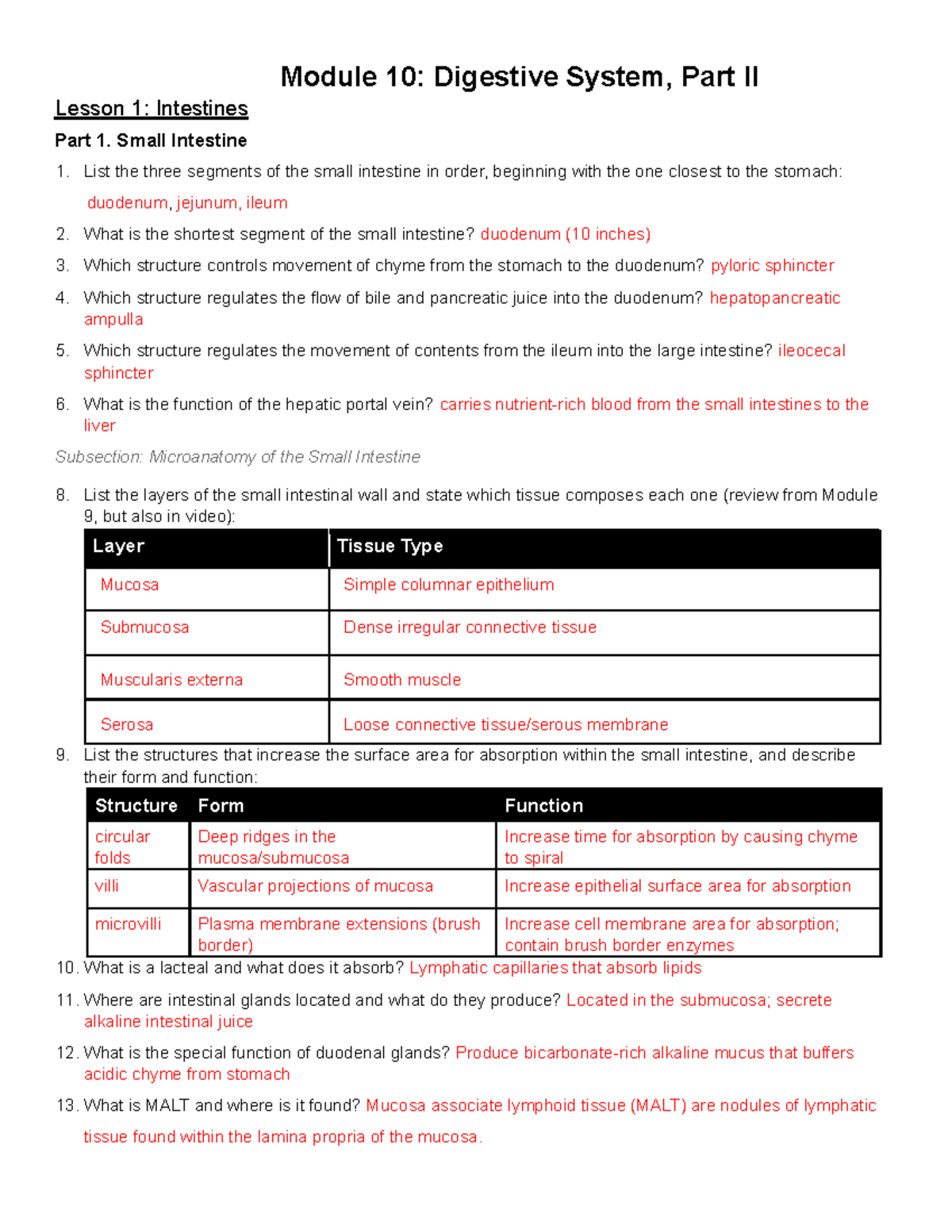 Module 10: Digestive System Study Guide - Intestines and Accessory ...
