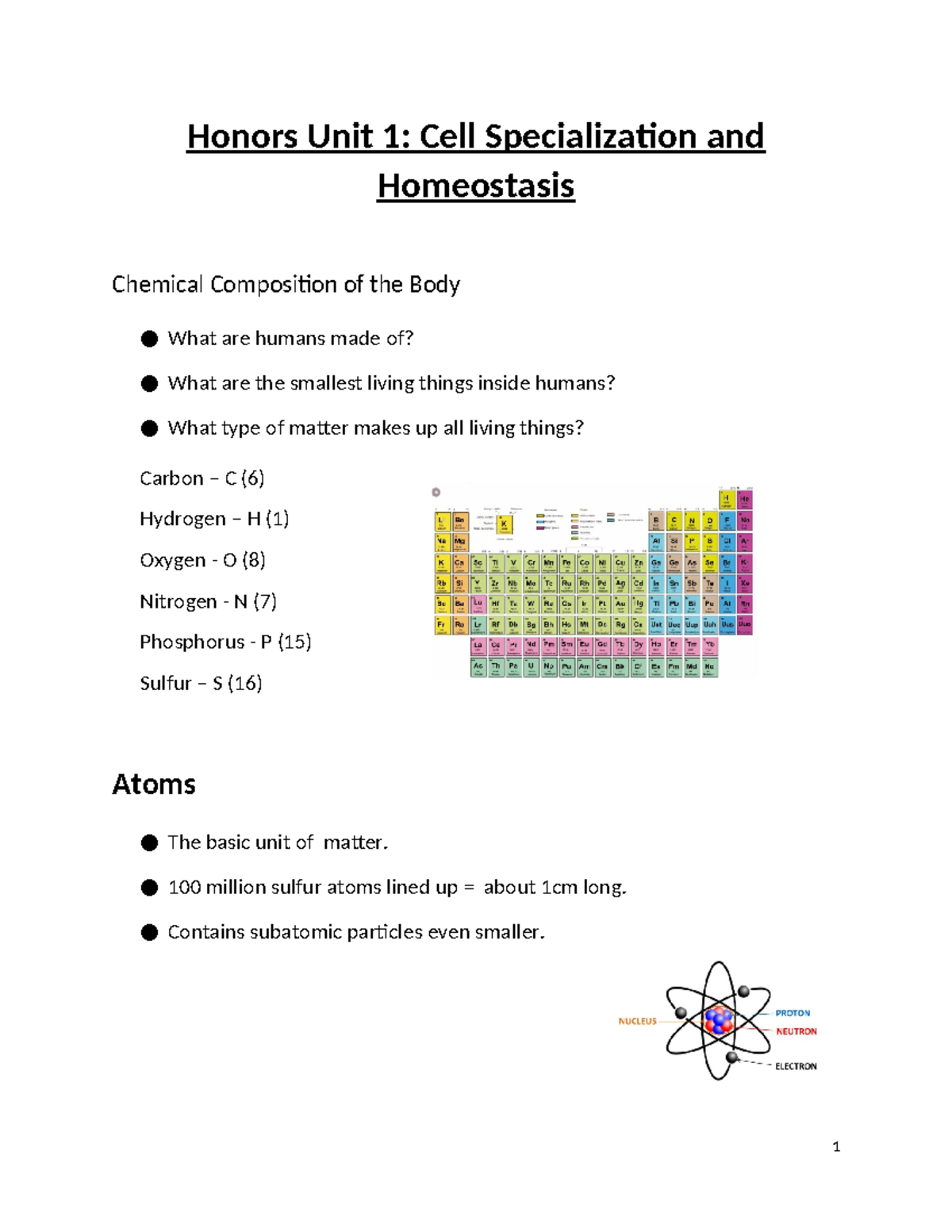 Honors Unit 1 notes - Honors Unit 1: Cell Specialization and ...