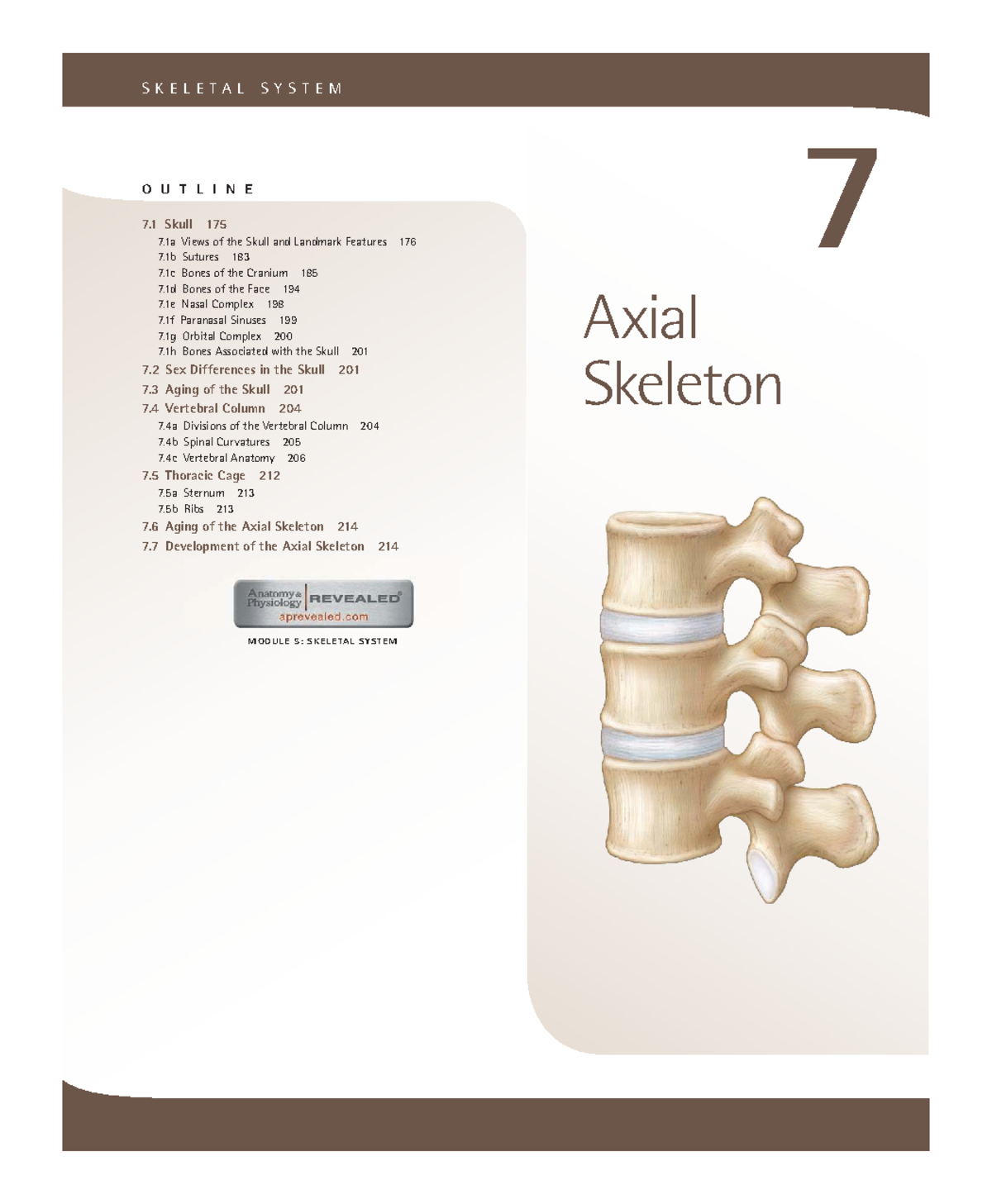 7. Axial Skeleton: Comprehensive Notes on Skull and Vertebral Anatomy ...