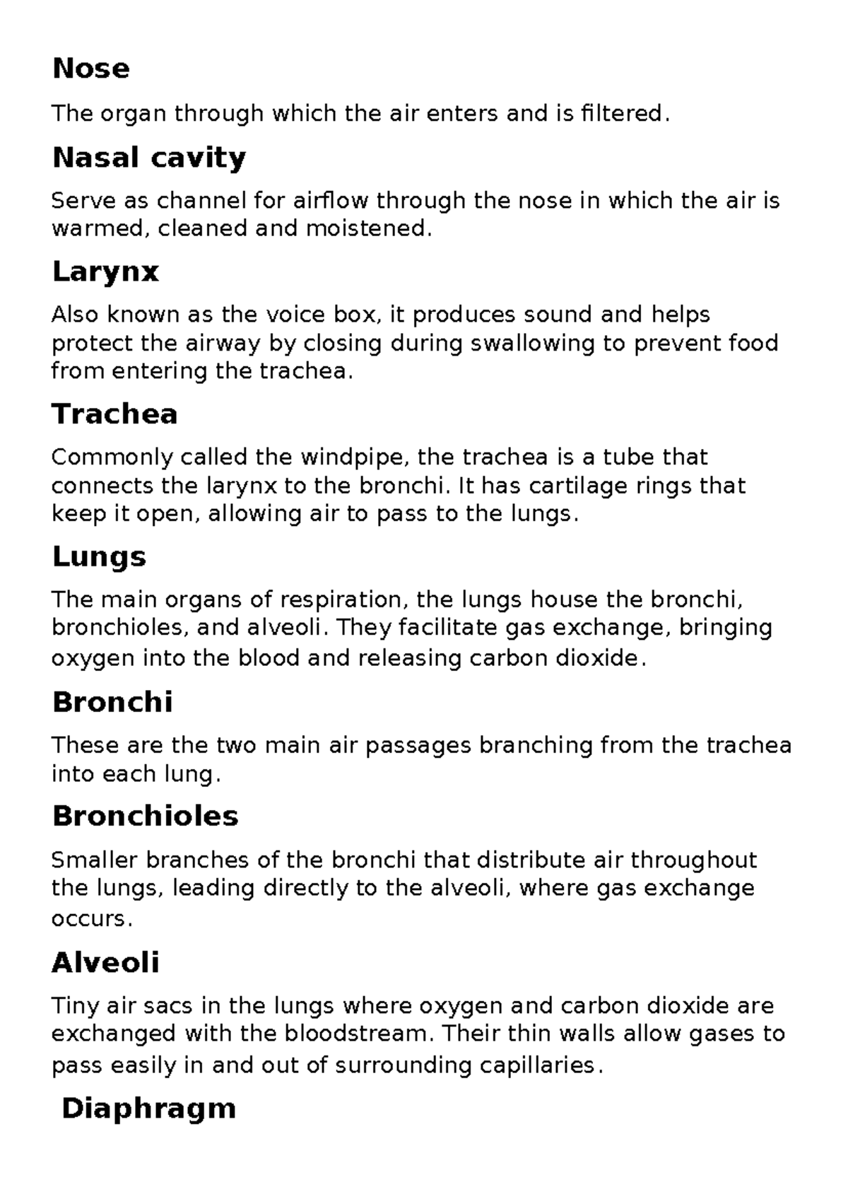 BIO101: Anatomy of the Respiratory System - Key Structures Explained ...