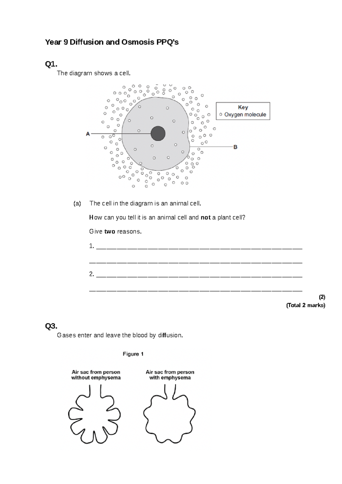 Year 9 Biology: Diffusion and Osmosis Practice Questions - Studocu