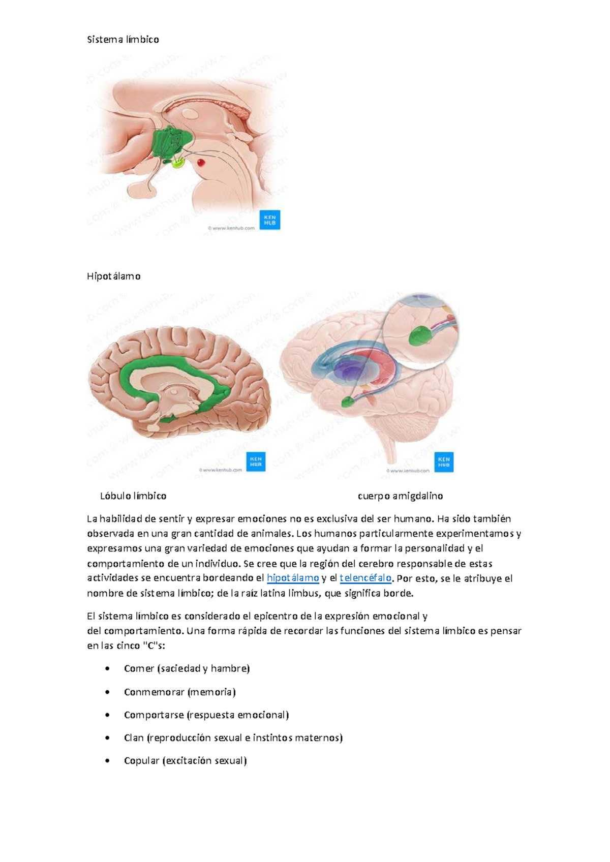 Anatomia-Sistema límbico - Sistema límbico Hipotálamo Lóbulo límbico ...
