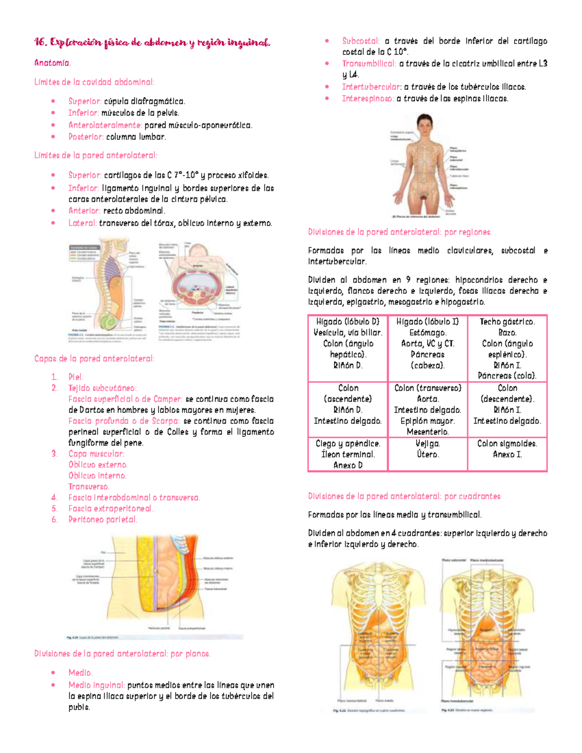 16. Exploración Física del Abdomen y Región Inguinal: Anatomía y ...